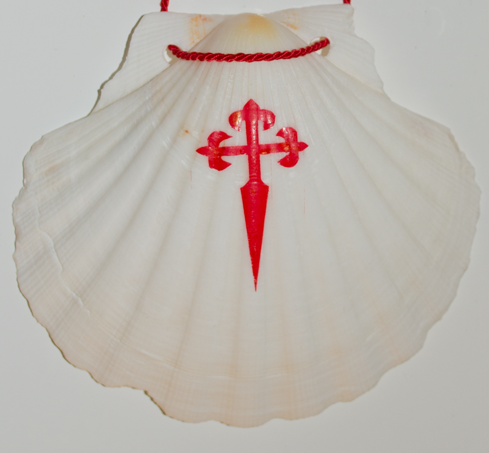 Camino Pilgrim shell – Camino Forum Store